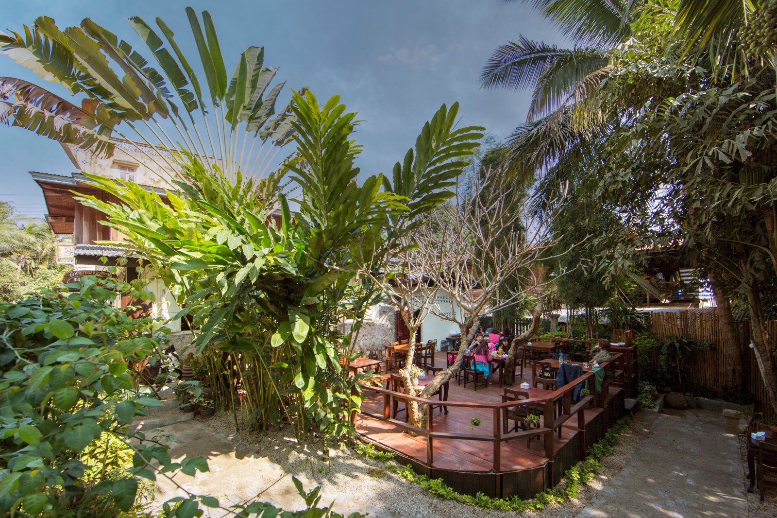 New Cafe, new pictures! – Big Tree Cafe & Restaurant